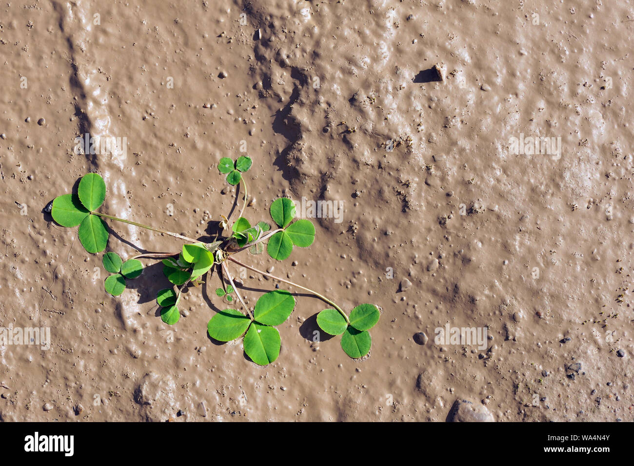 Middle earth soil erosion hi-res stock photography and images - Alamy