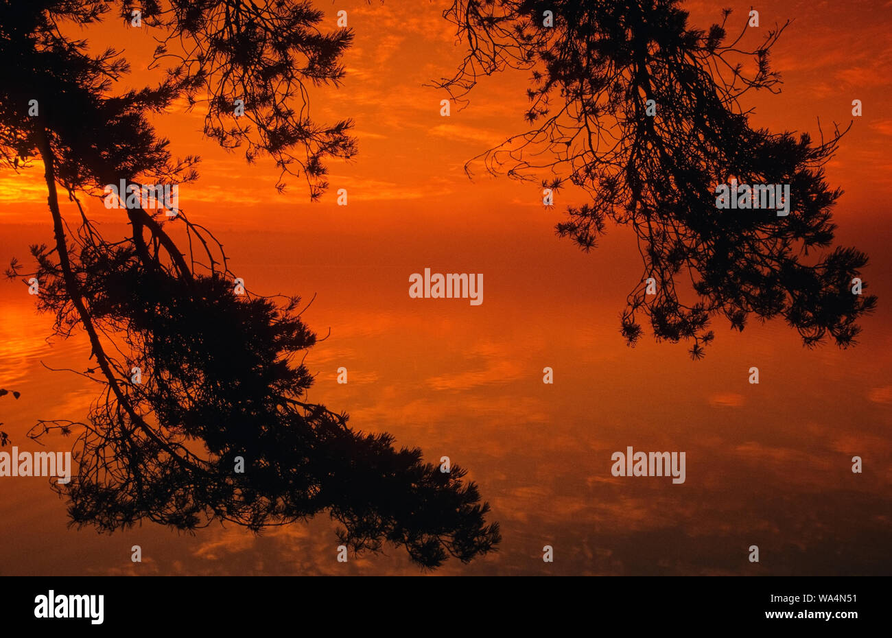 Early morning scenery just before sunrise. Clouds reflecting from water ...