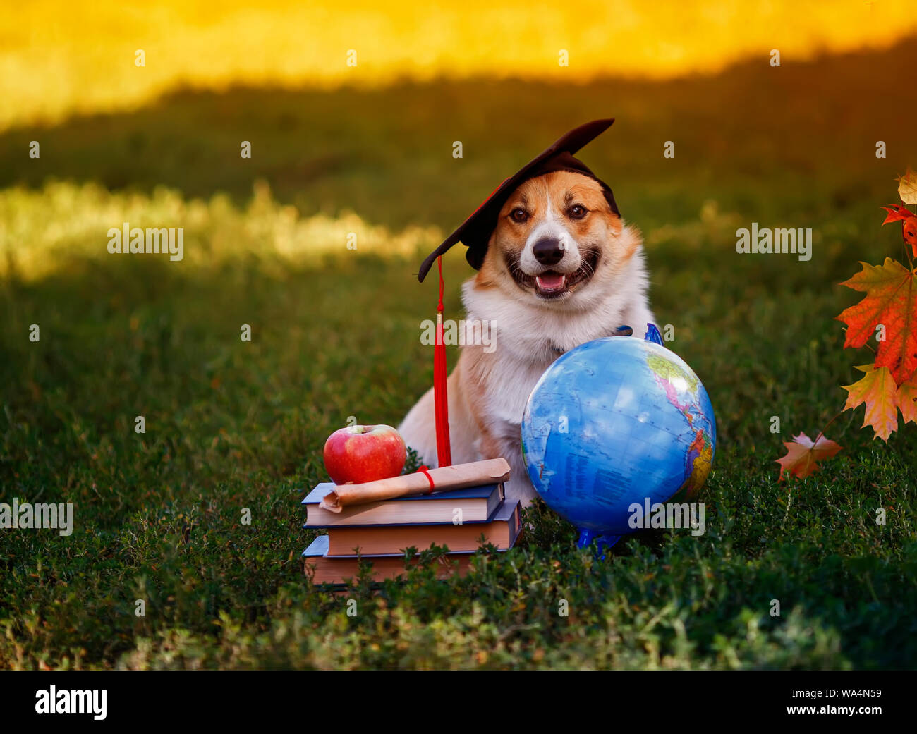 Student teacher relationship hi-res stock photography and images - Alamy