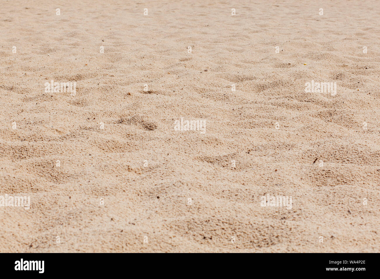 Fine beach sand in the summer sun Stock Photo - Alamy