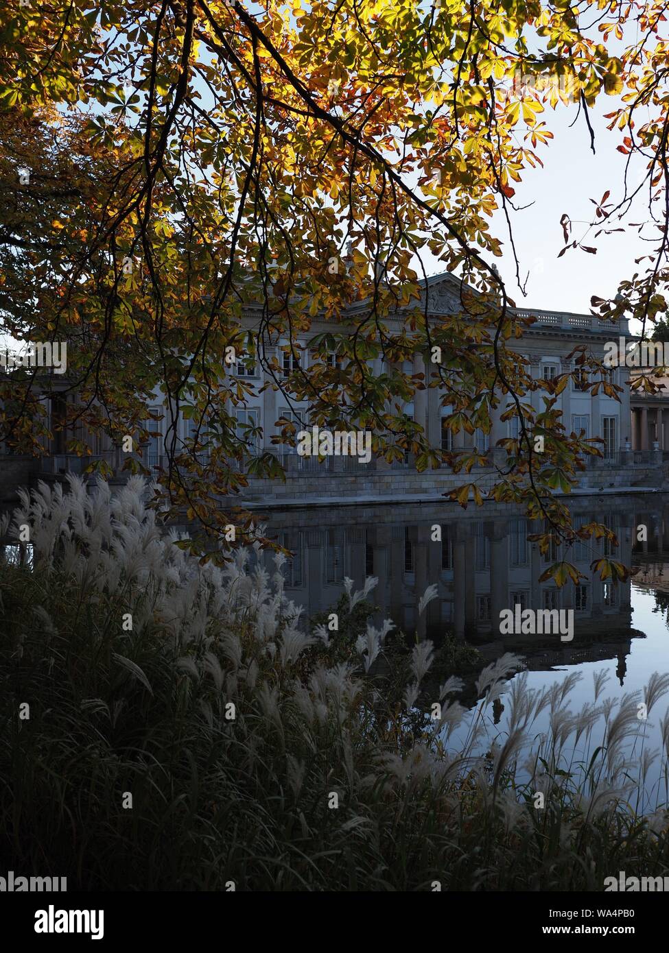 Building on island behind boughs in baths park in Warsaw european ...