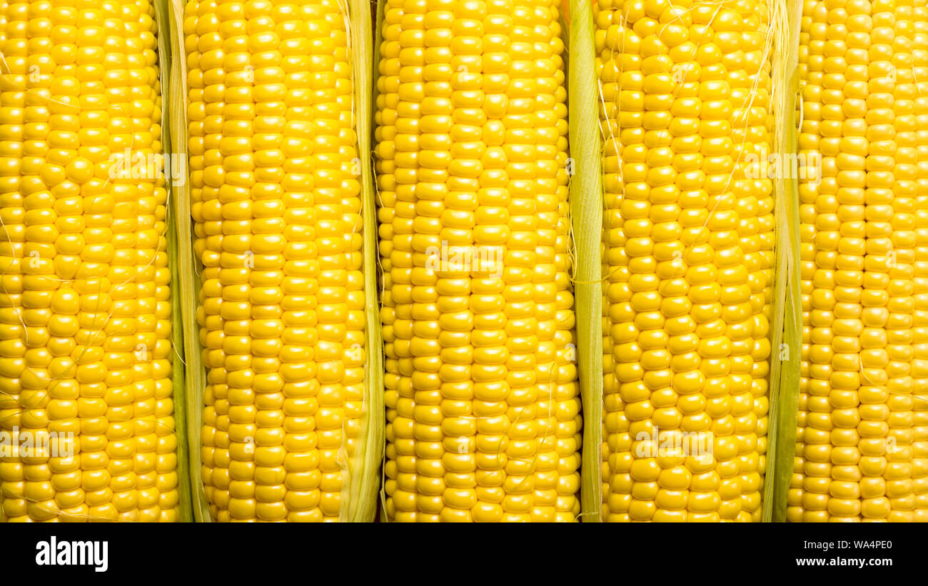 Raw corn swings - texture and geometry in detail. Close up, top view ...