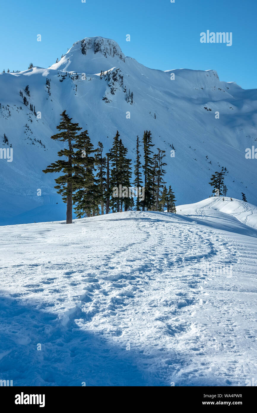 Snowshoe Mt High Resolution Stock Photography and Images - Alamy