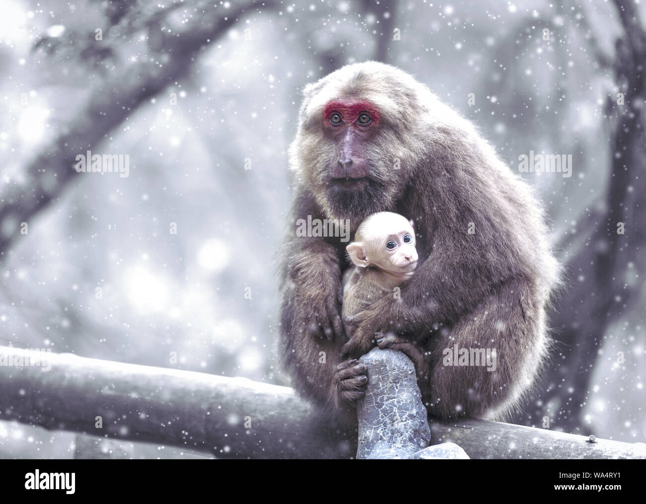 Warm love hi-res stock photography and images - Alamy