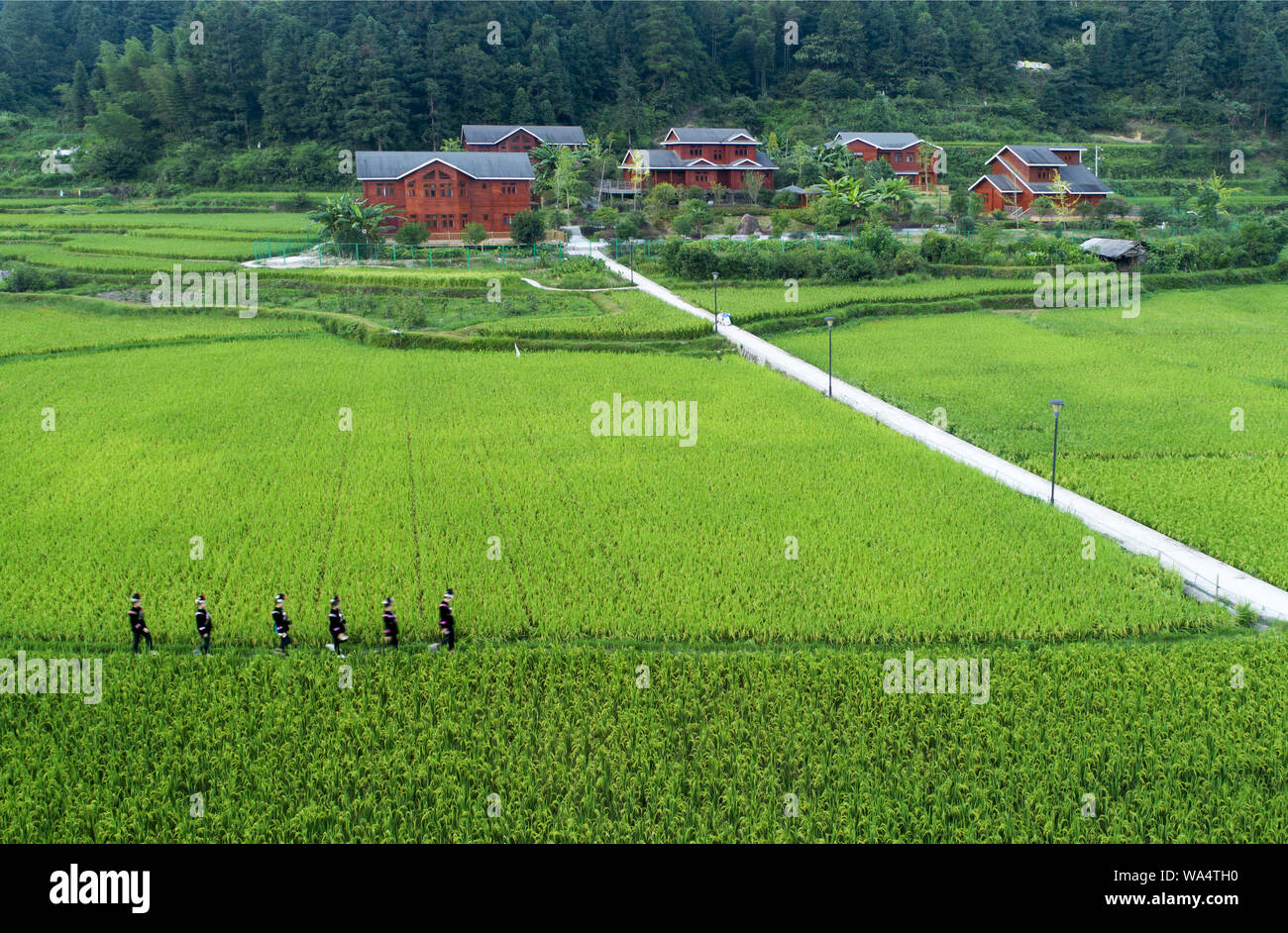Miao style architecture hi-res stock photography and images - Alamy