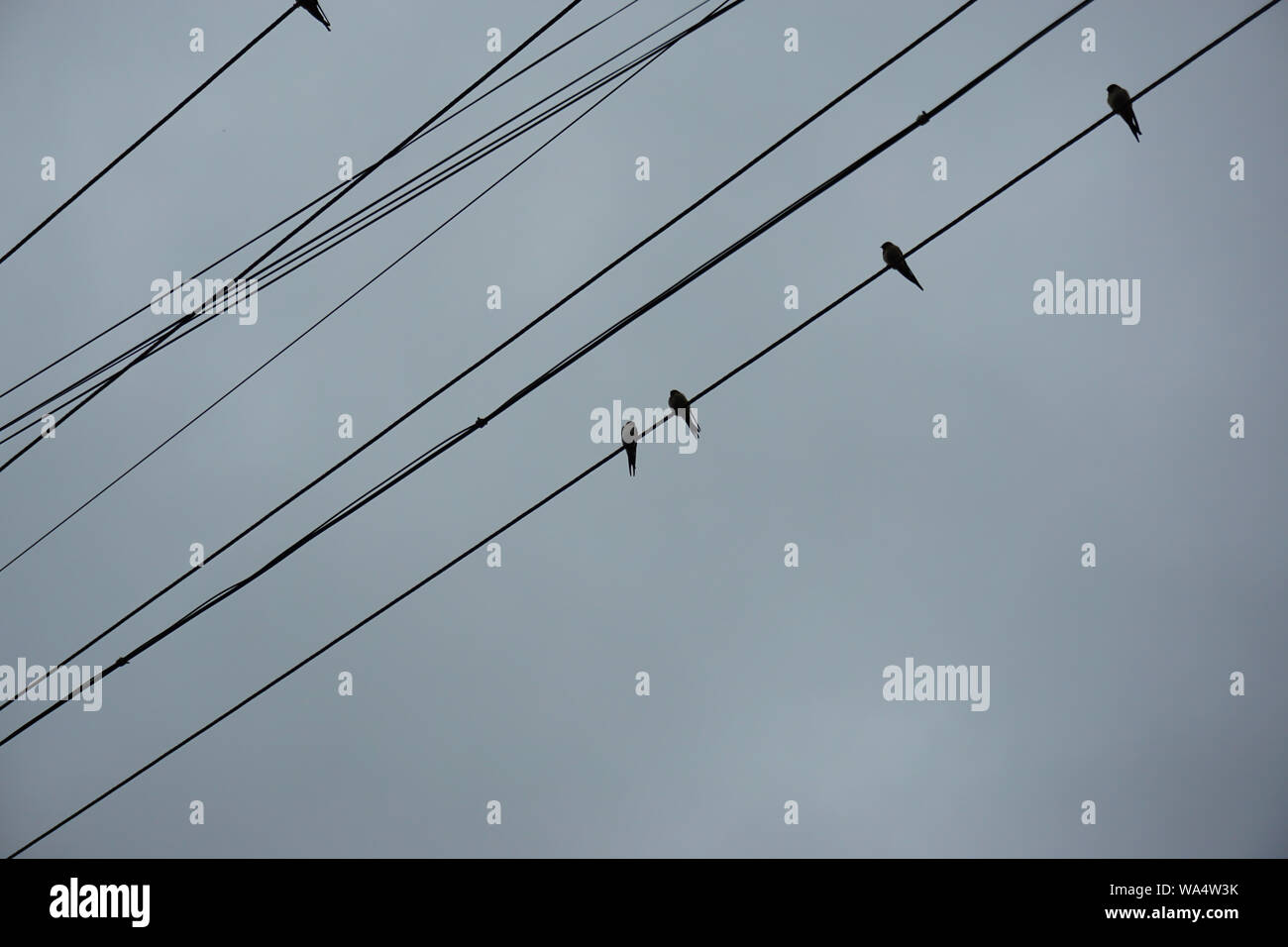 Contracted wires hi-res stock photography and images - Alamy