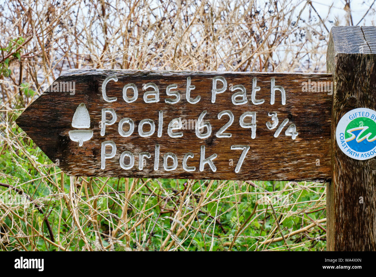 South west coastal path minehead hi-res stock photography and images ...