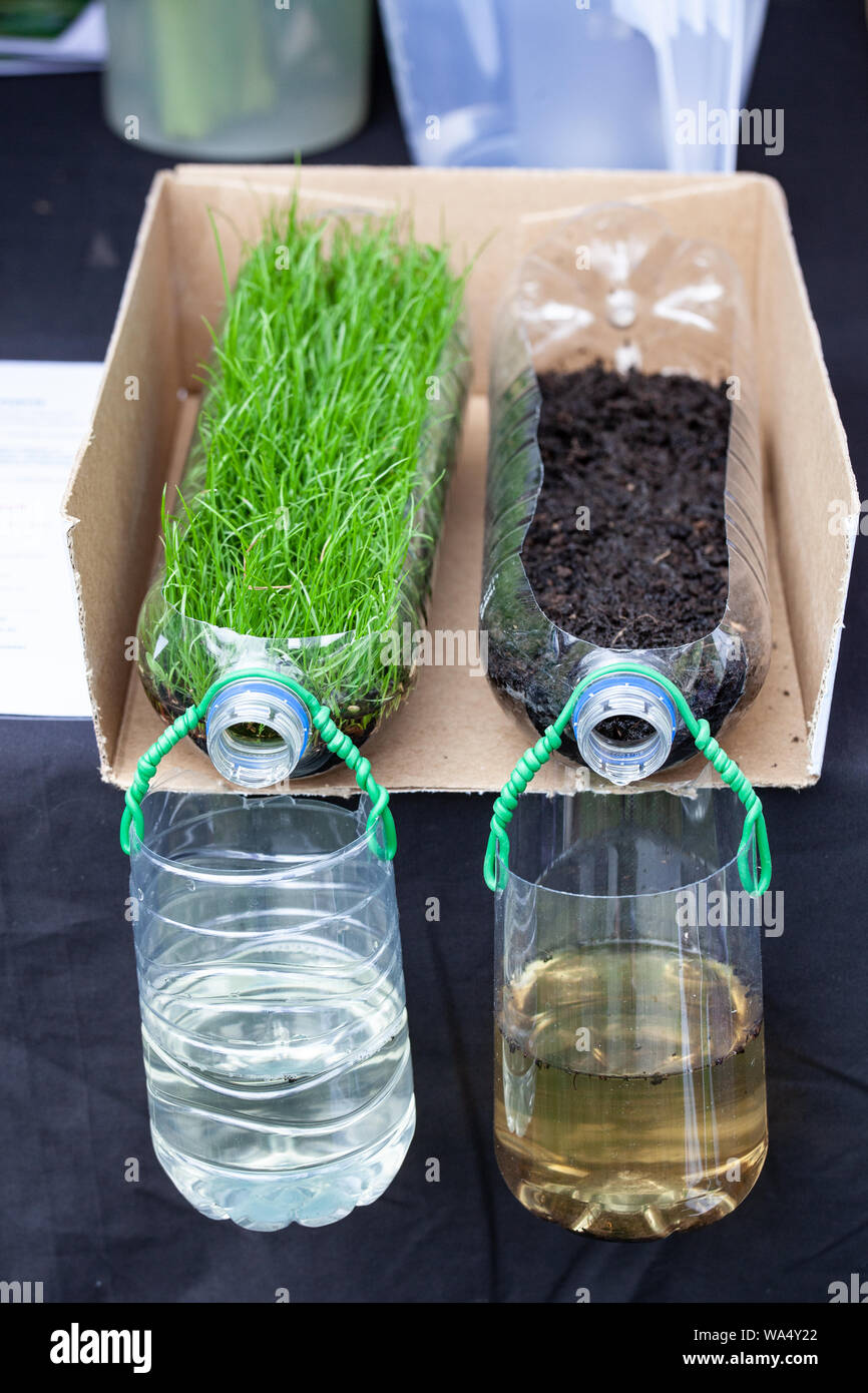 Natural Water Filtration