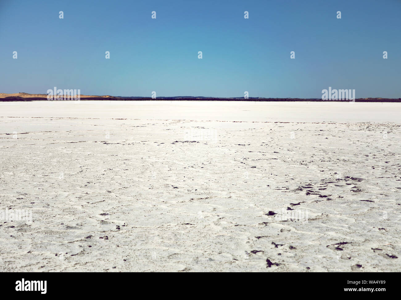 Dry salt lake in Australia Stock Photo - Alamy