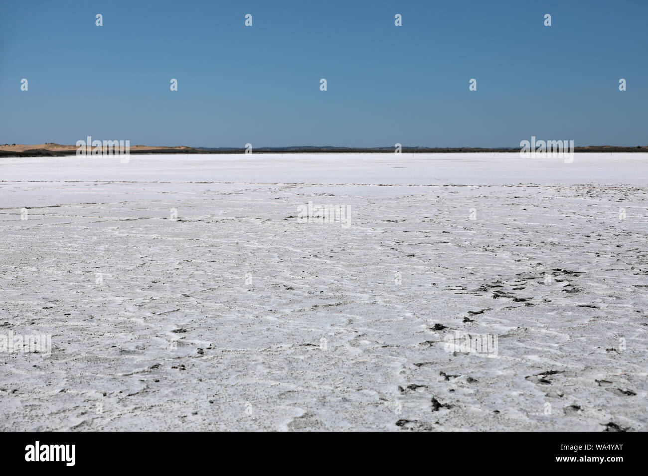 Dry salt lake in Australia Stock Photo - Alamy