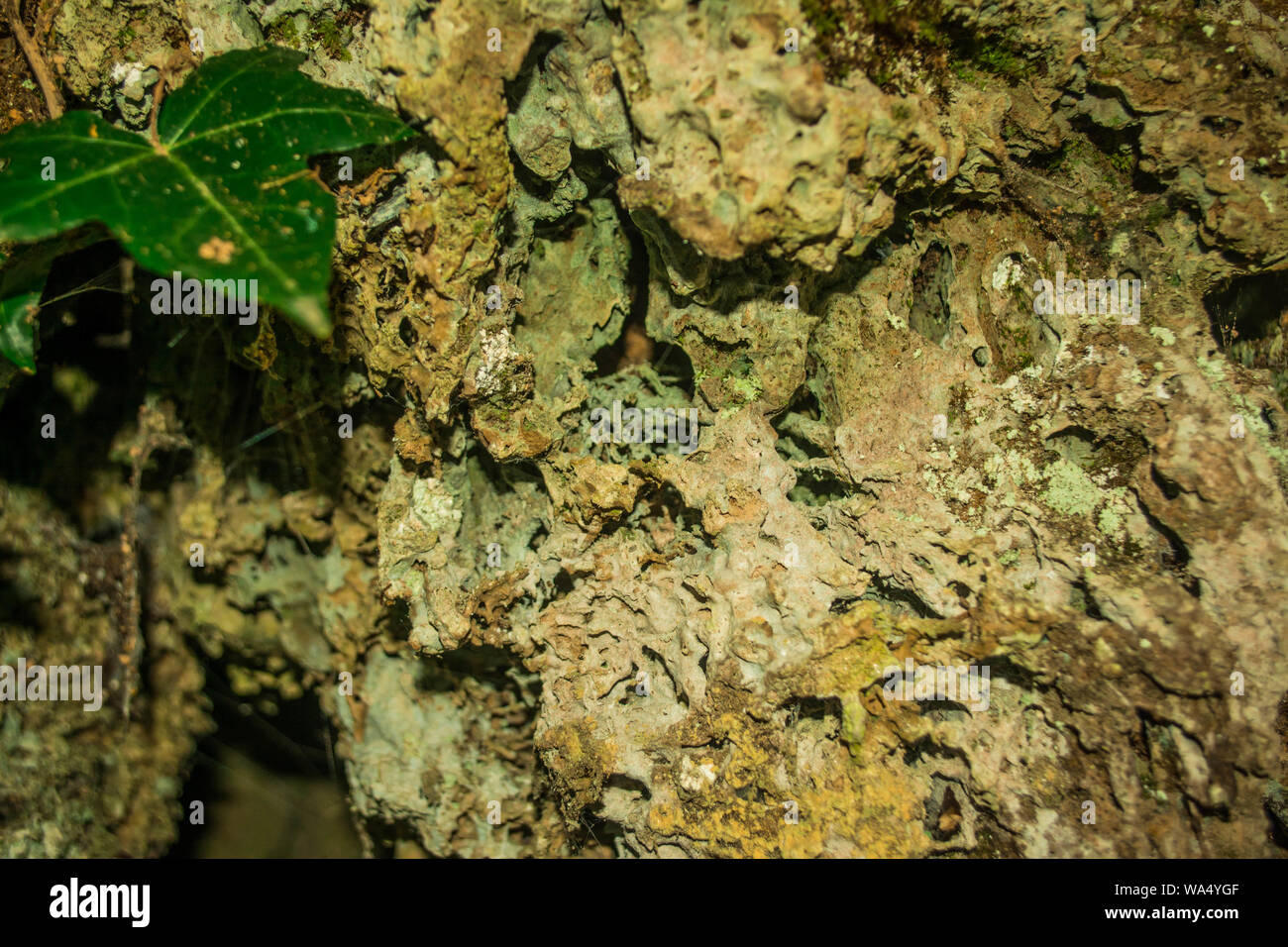 Tufa caves hi-res stock photography and images - Alamy