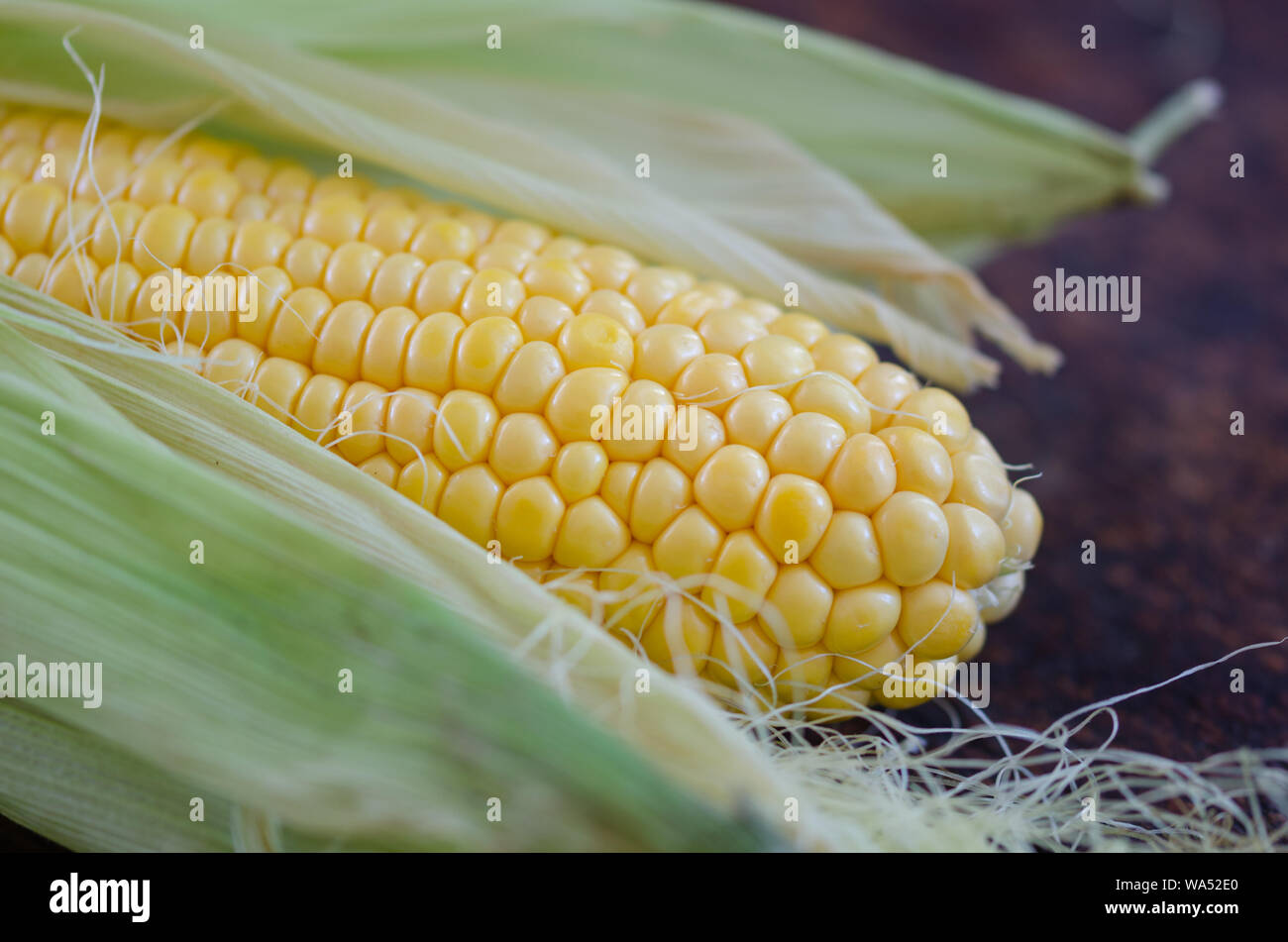 Ear of maize or corn on the dark wooden background Stock Photo - Alamy