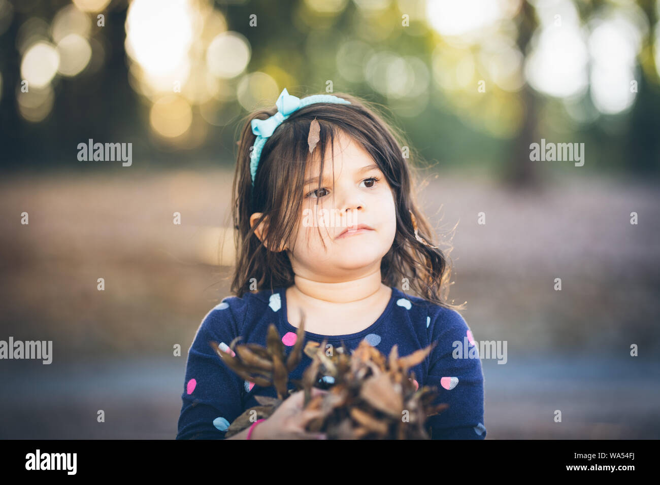 Leaves falling and little girl playing in the leaves Stock Photo - Alamy