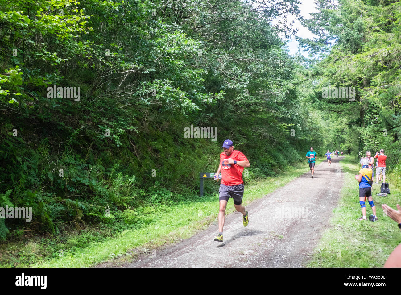 Brechfa, trail, forest, run, of, distances,5k,10k, and, Half, Marathon ...