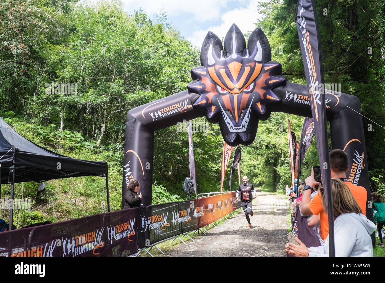 Brechfa forest, wales hi-res stock photography and images - Alamy