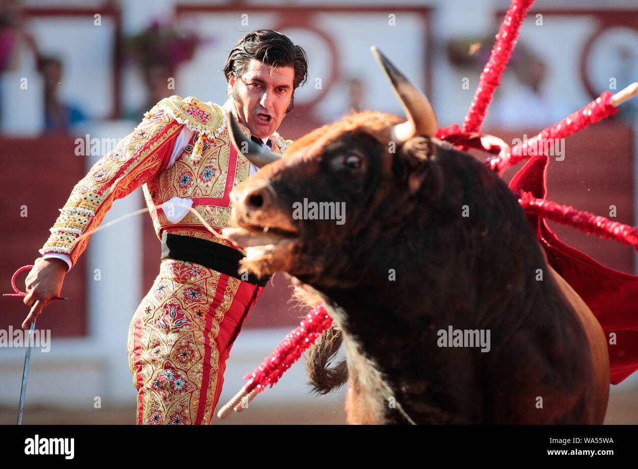 Julian lopez el juli y pablo aguado hi-res stock photography and images ...