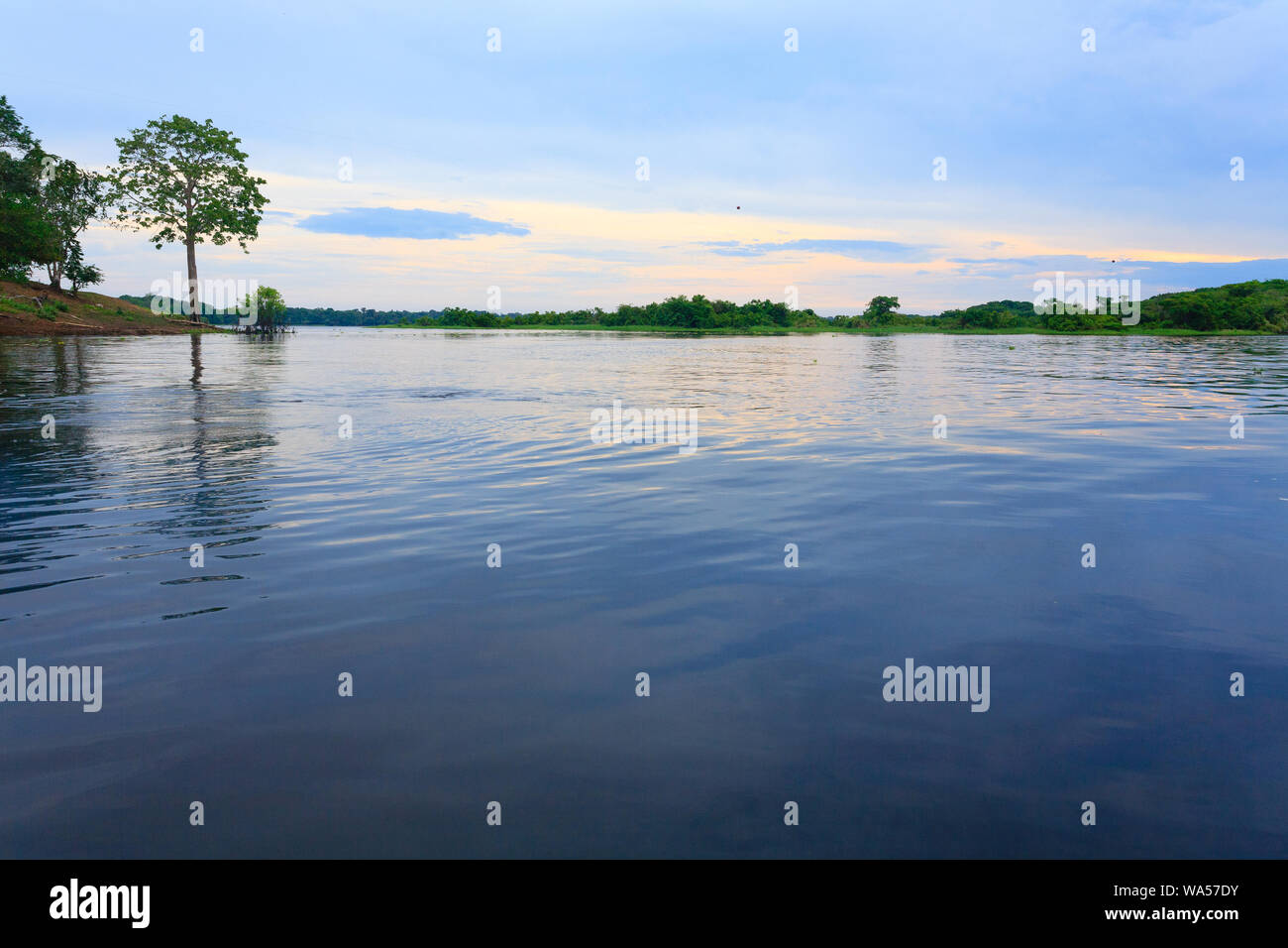 Panorama from Amazon rainforest, Brazilian wetland region. Navigable ...
