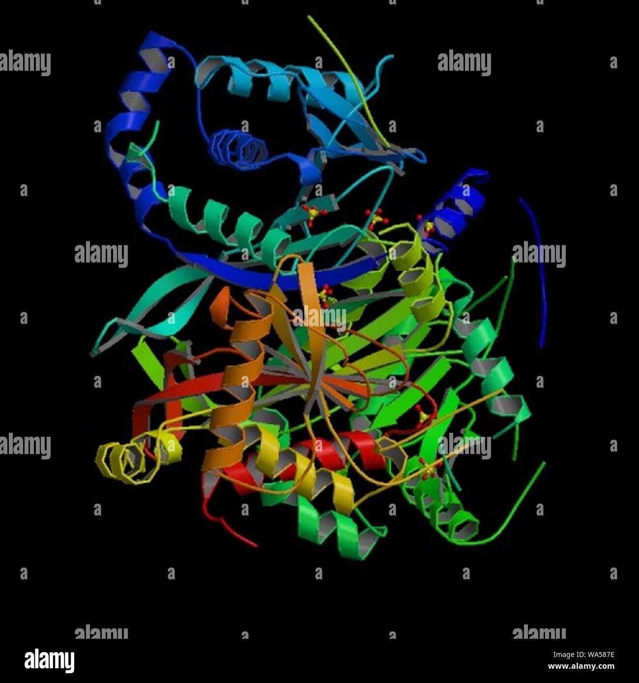 Dihydrolipoamide succinyltransferase hi-res stock photography and ...
