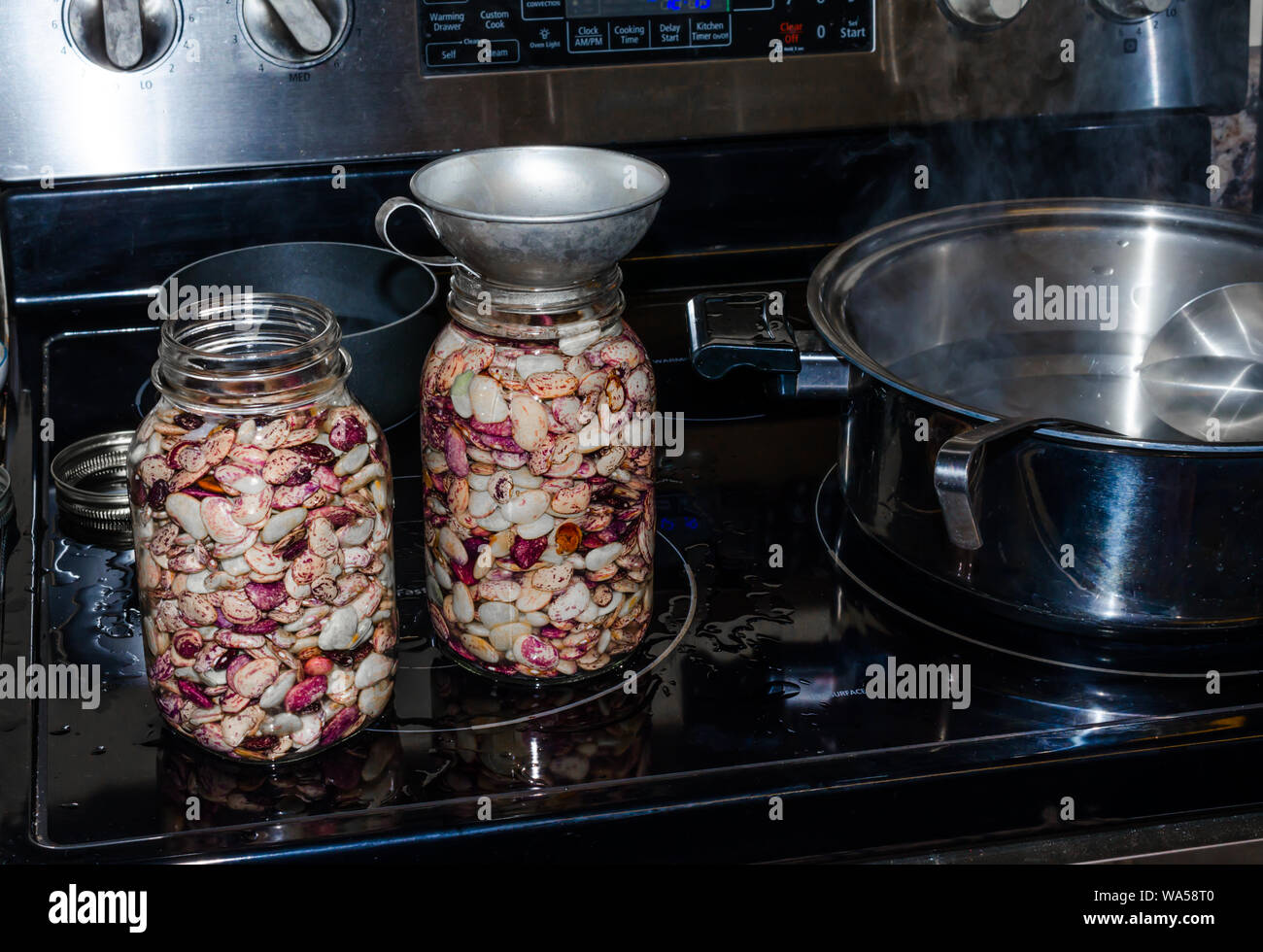 How to grow lima beans hi-res stock photography and images - Alamy