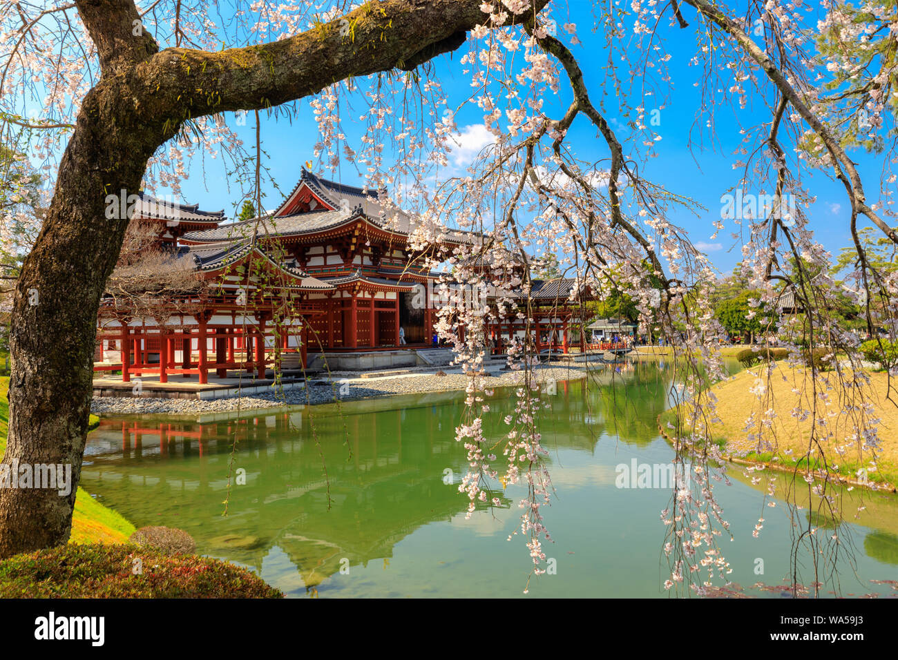 The Japanese Byodo-in Phoenix temple, world unesco heritage in the Uji ...