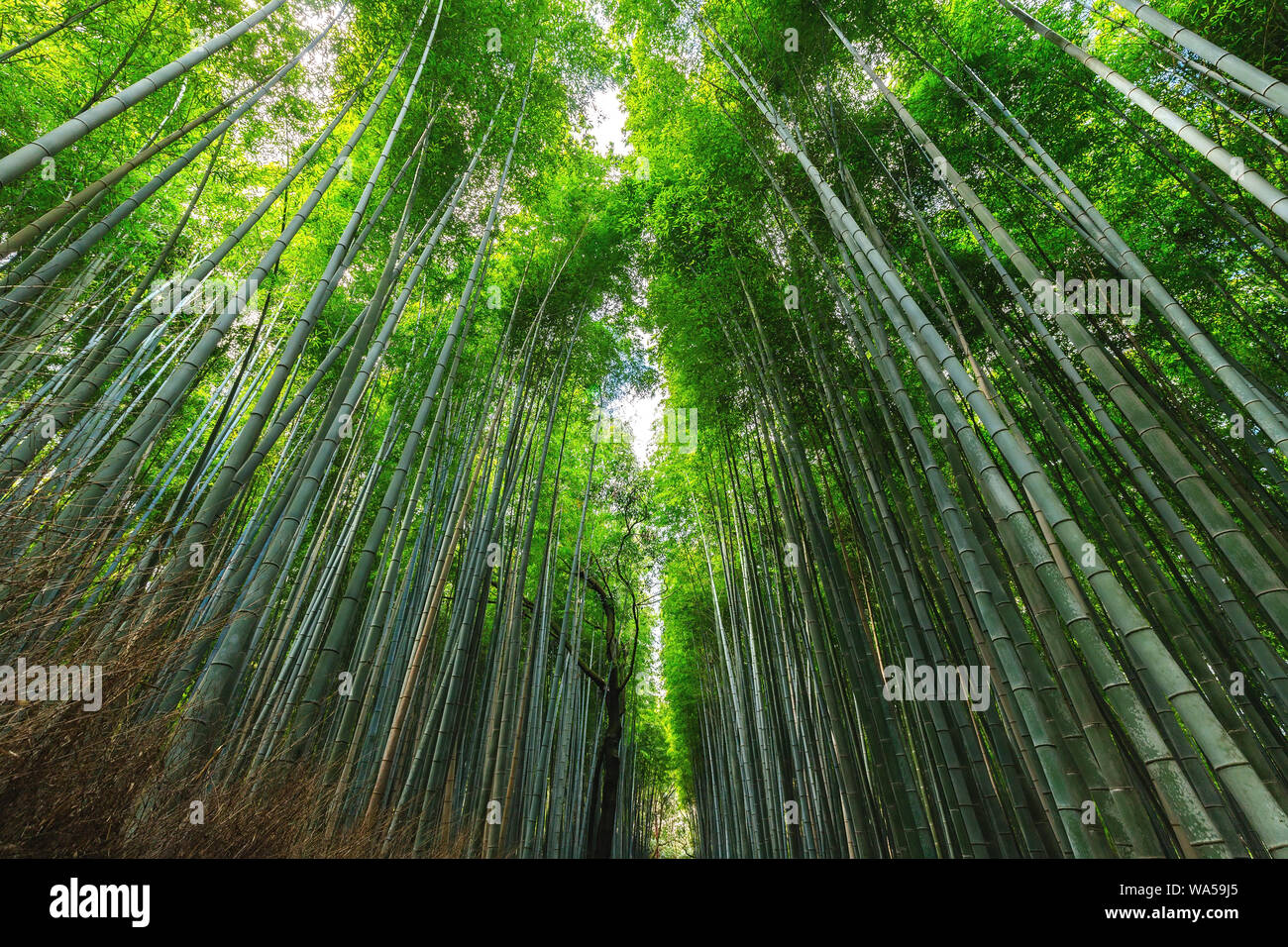 High up kyoto hi-res stock photography and images - Alamy