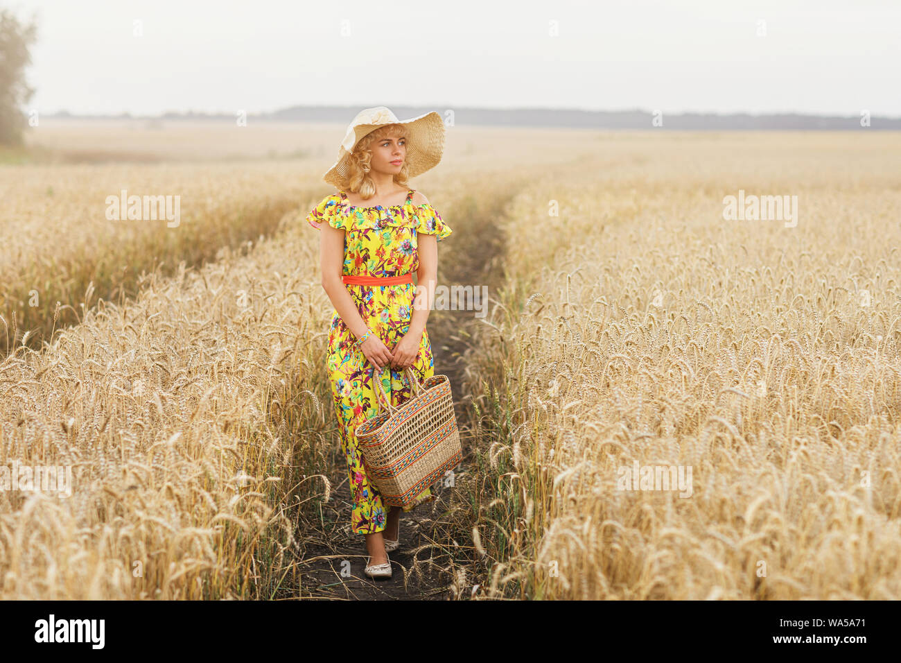 A young girl walks along a path in a field sown with barley. Model ...