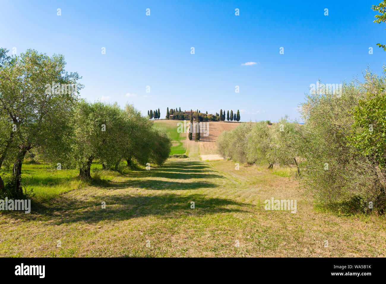 Tuscany hills landscape, Italy. Rural italian panorama Stock Photo - Alamy