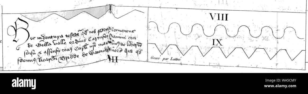 Vii ix Cut Out Stock Images & Pictures - Alamy