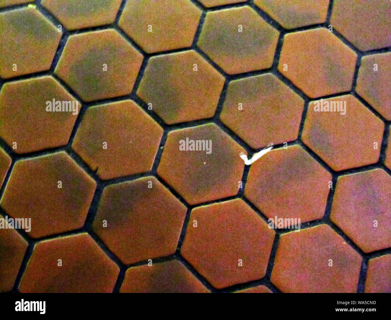 On the flor Stock Photo - Alamy