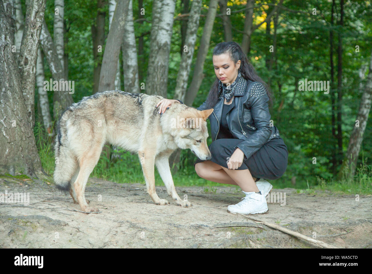 Adult pretty model girl with real mix animal of wolf and dog Stock ...