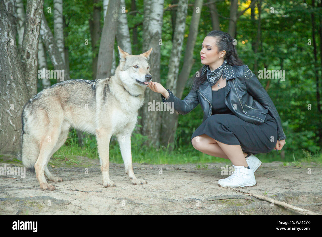 Adult pretty model girl with real mix animal of wolf and dog Stock ...