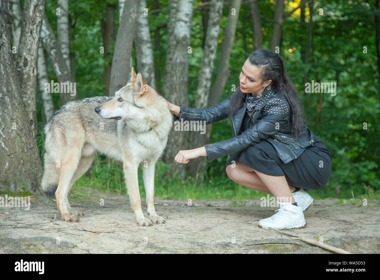 Adult pretty model girl with real mix animal of wolf and dog Stock ...