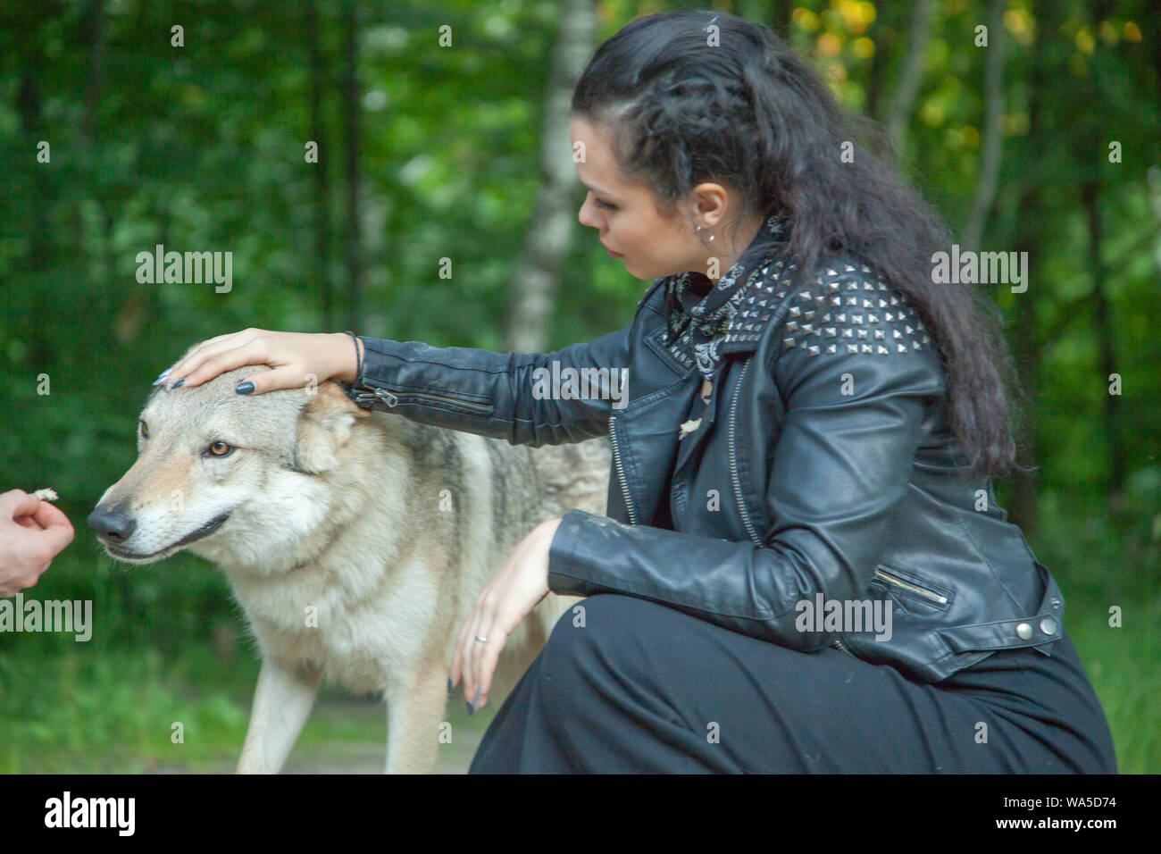 Adult pretty model girl with real mix animal of wolf and dog Stock ...