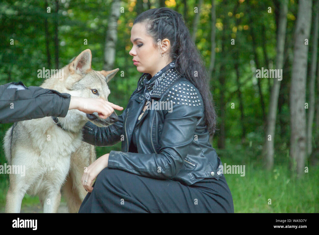 Adult pretty model girl with real mix animal of wolf and dog Stock ...