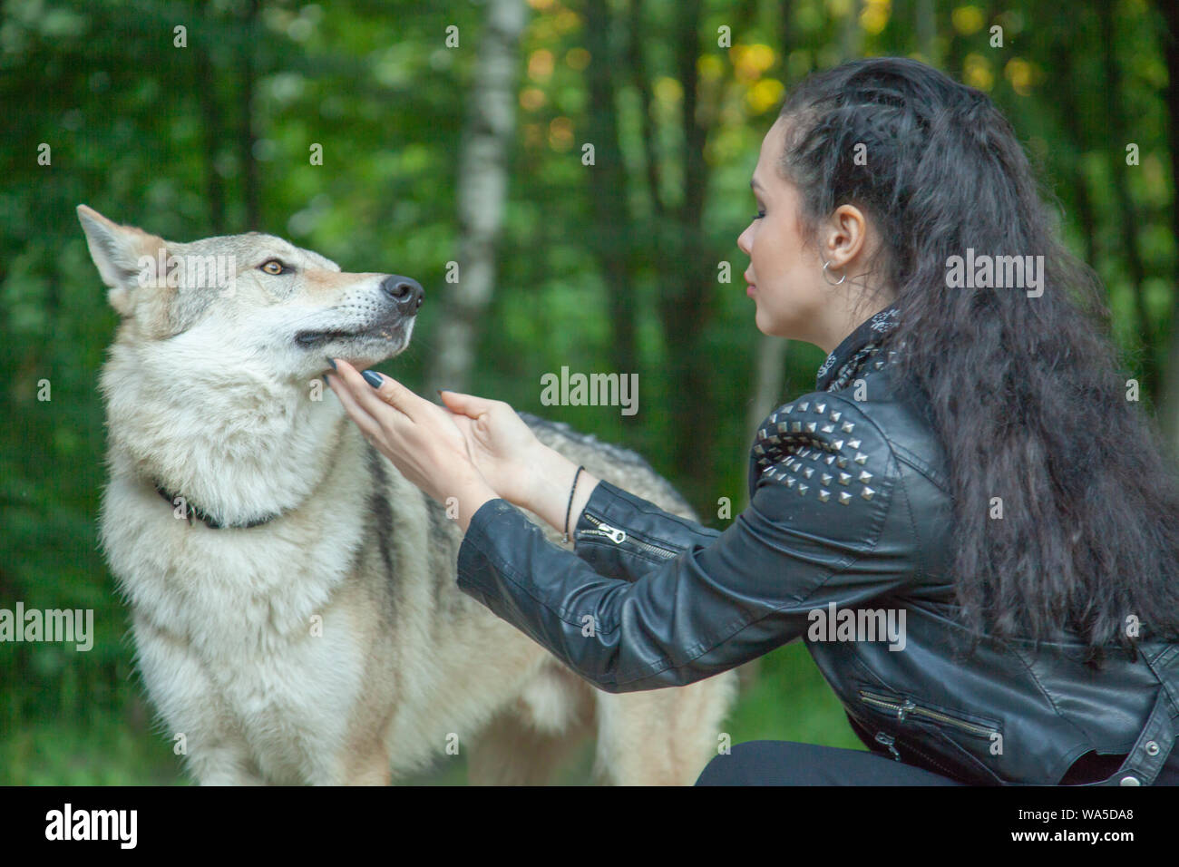Adult pretty model girl with real mix animal of wolf and dog Stock ...