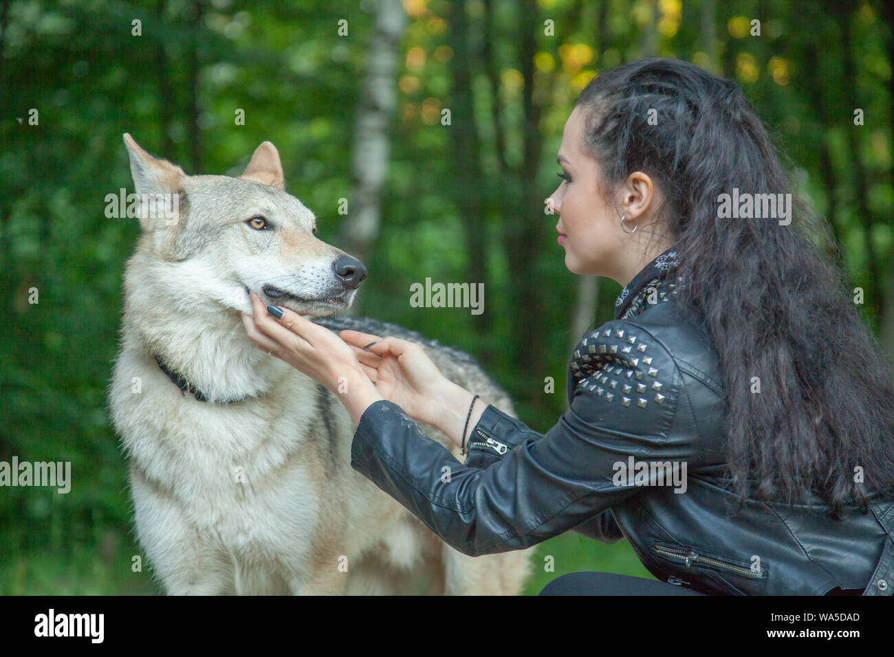 Adult pretty model girl with real mix animal of wolf and dog Stock ...