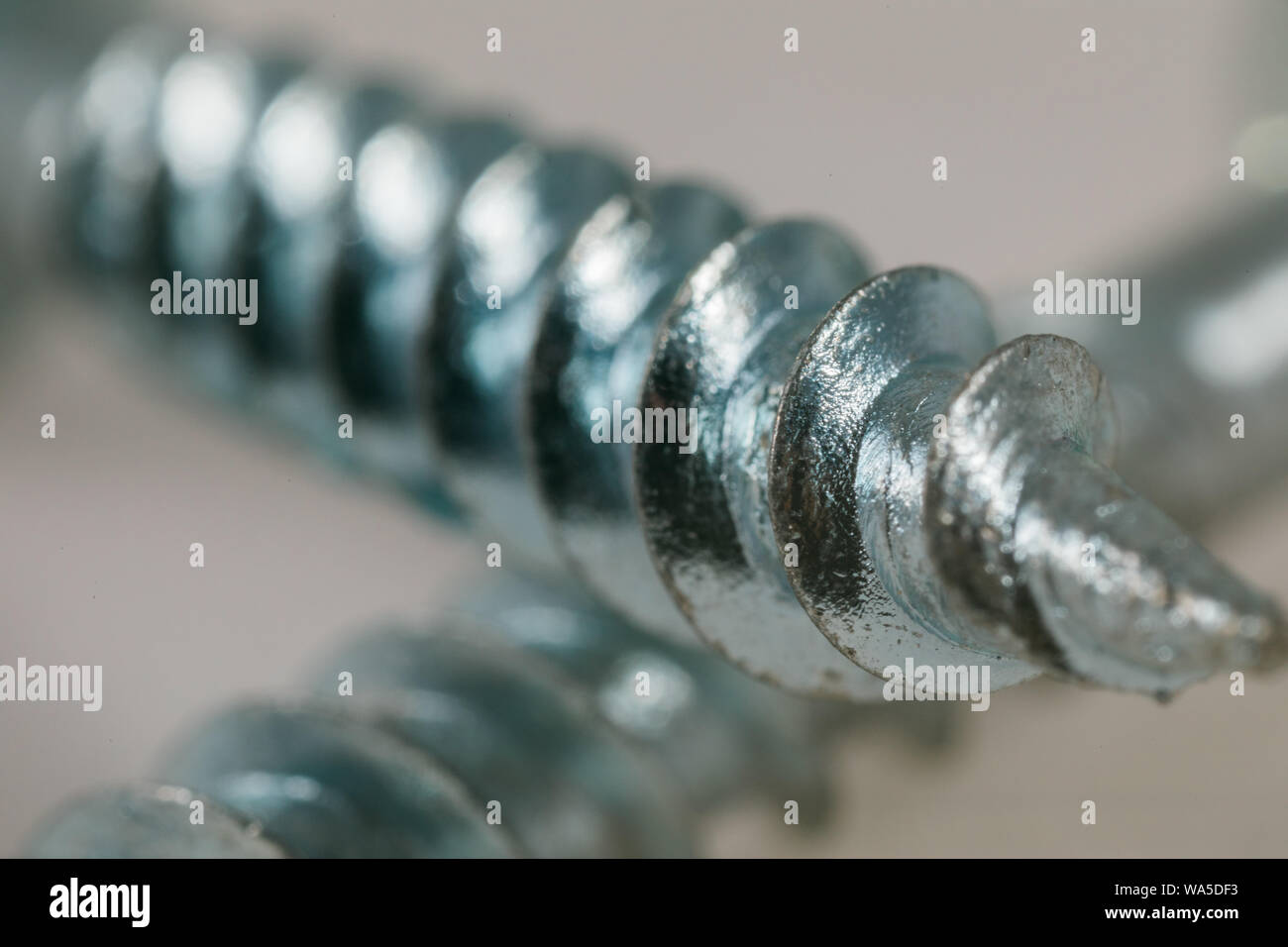 a close up shot of a wood screw Stock Photo - Alamy
