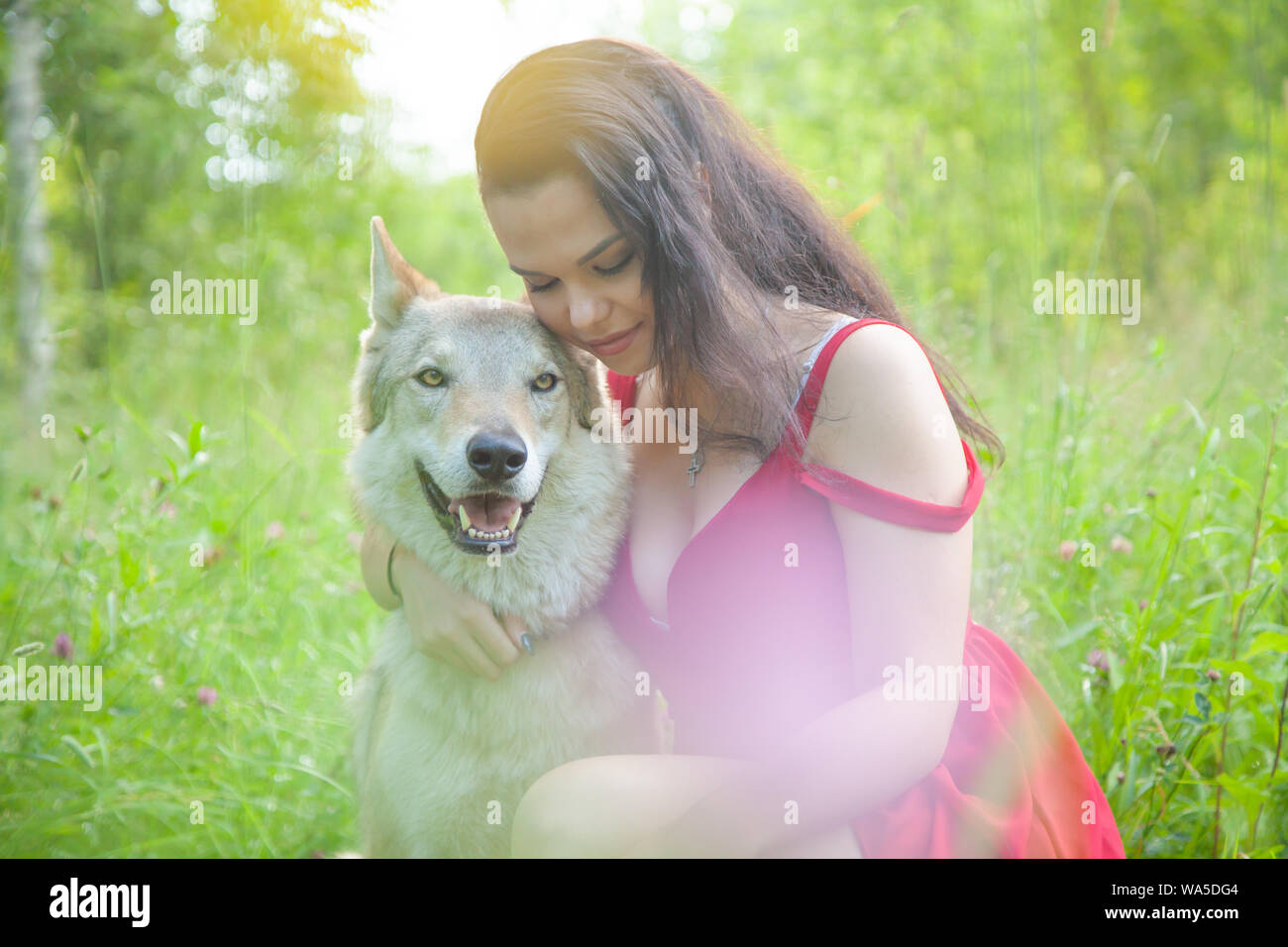 Adult pretty model girl with real mix animal of wolf and dog Stock ...