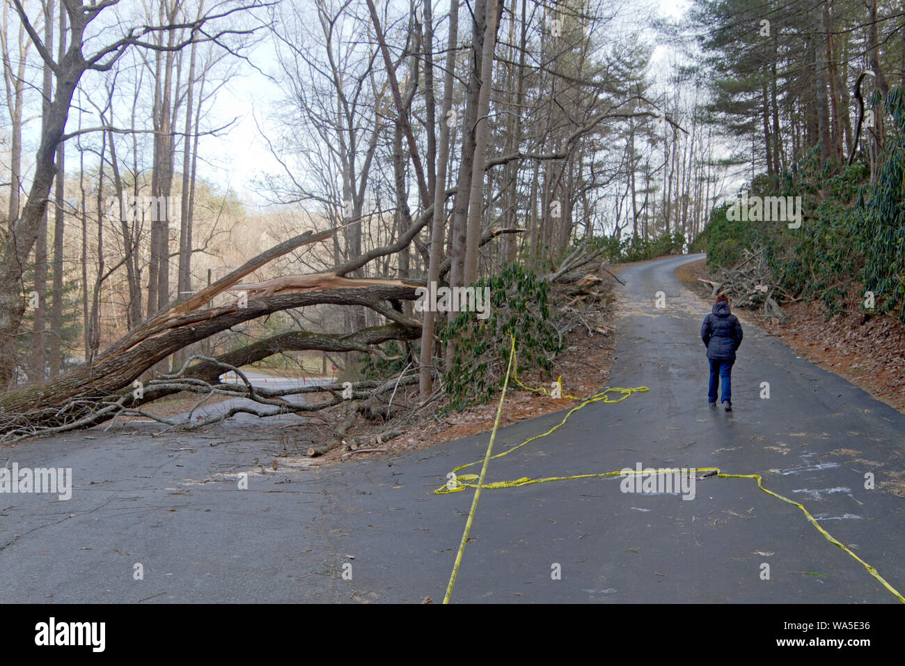 Forcing door hi-res stock photography and images - Alamy