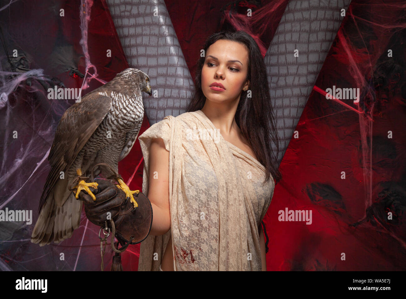 beauty brunette girl and a hawk on dark gothic scary studio background ...