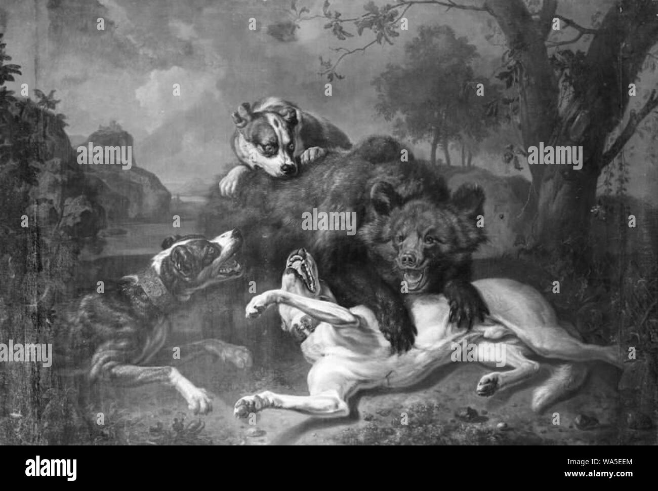 Bear fight dogs hi-res stock photography and images - Alamy