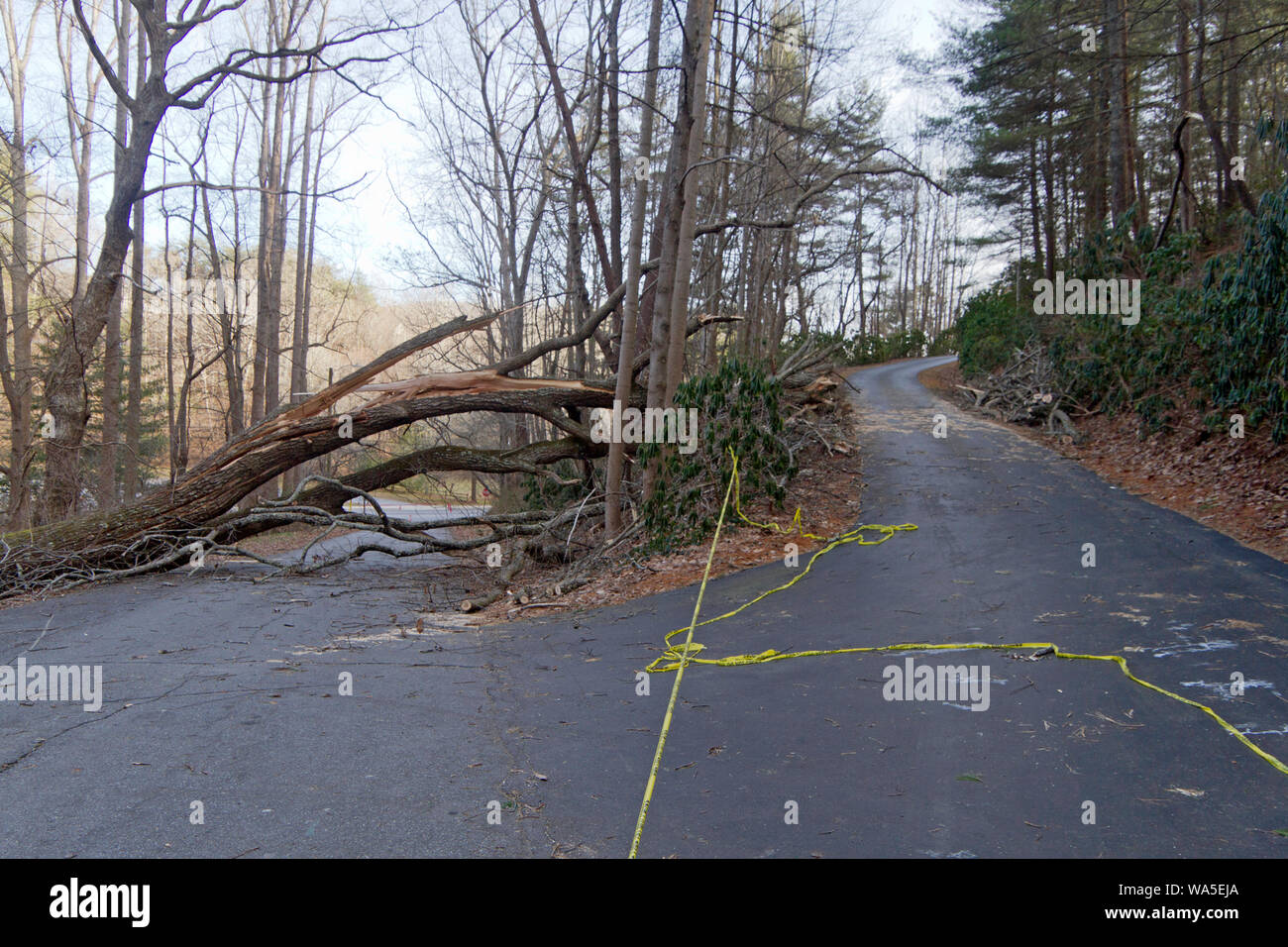 Winding road metaphor hi-res stock photography and images - Alamy