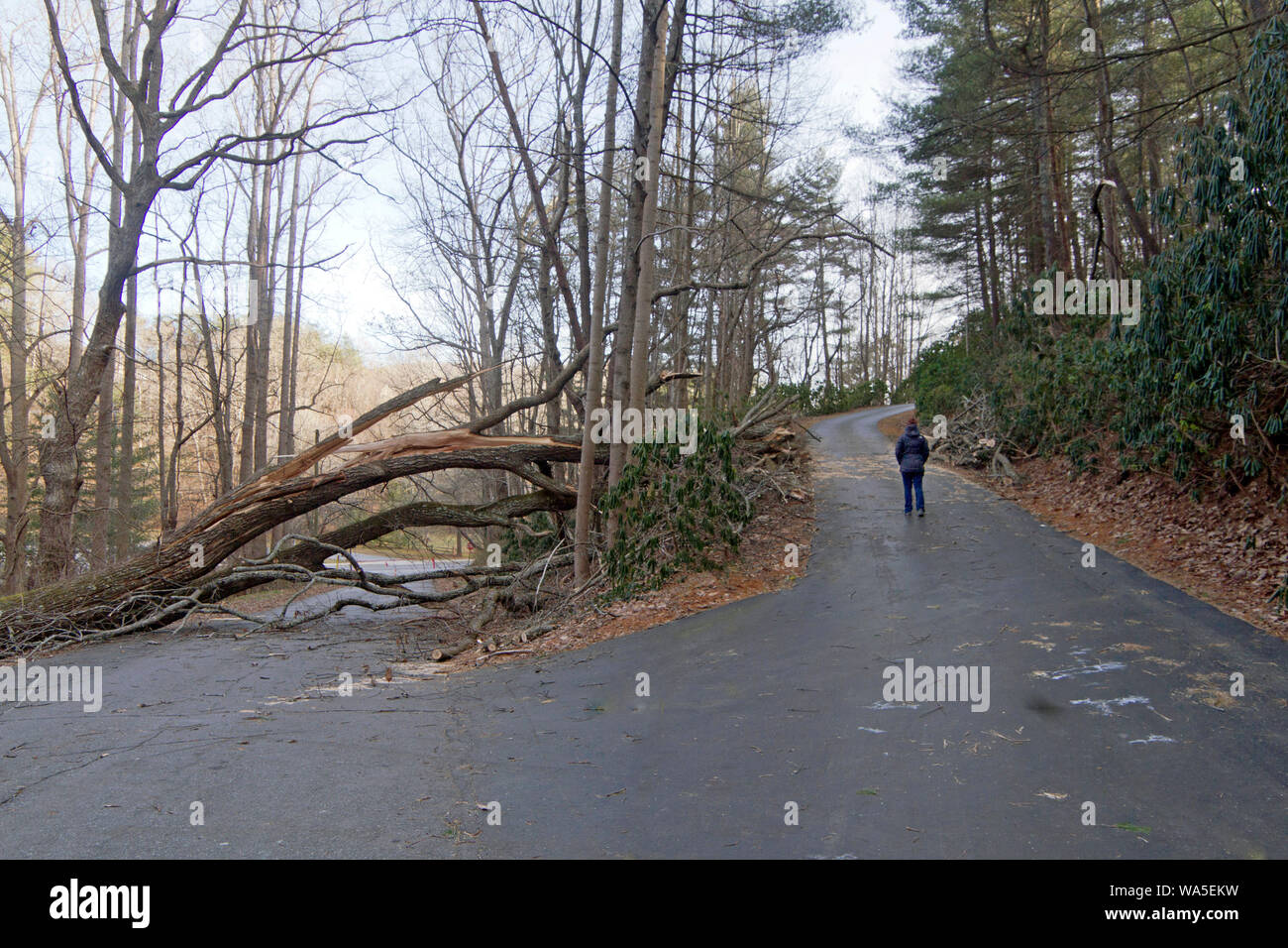 Well laid pathways hi-res stock photography and images - Alamy