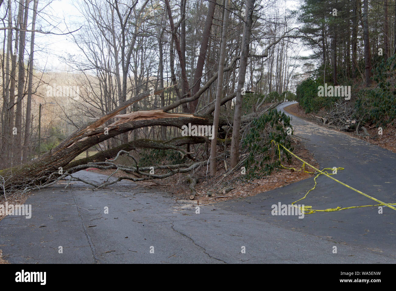 Divine has fallen this fate hi-res stock photography and images - Alamy