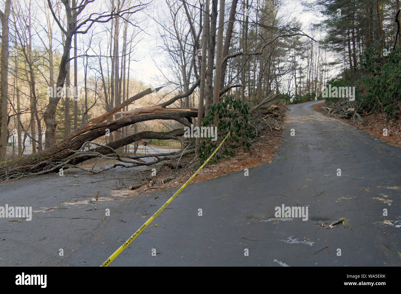 Blocked pathways hi-res stock photography and images - Alamy