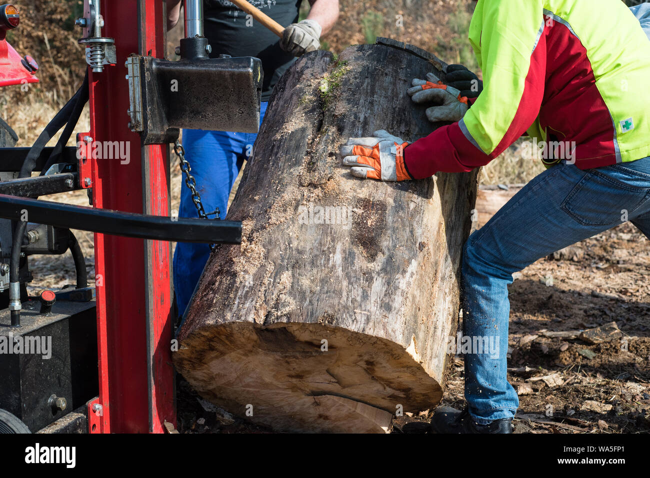 Lumberjacks hi-res stock photography and images - Alamy