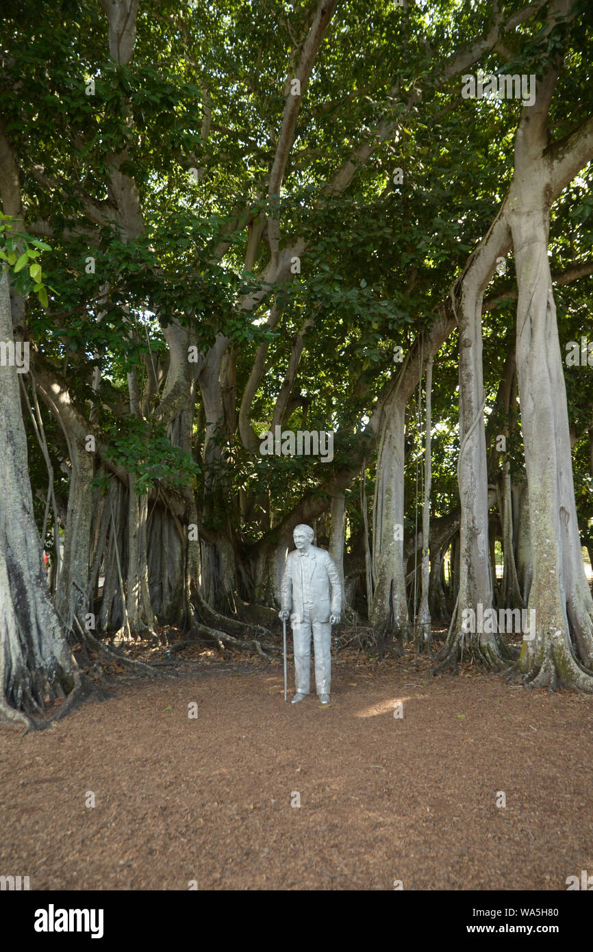 A statue of Thomas Edison is surrounded by trees at the Edison Ford ...