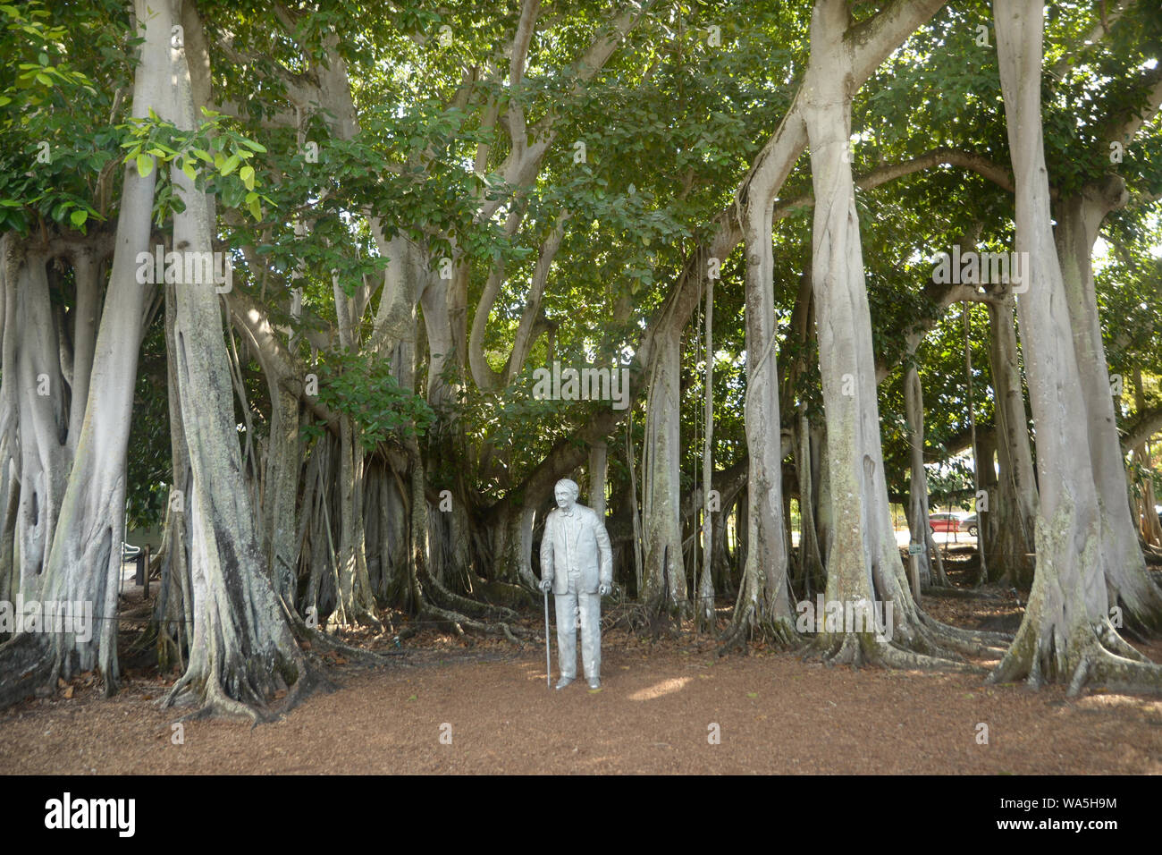 Thomas edison statue hi-res stock photography and images - Alamy