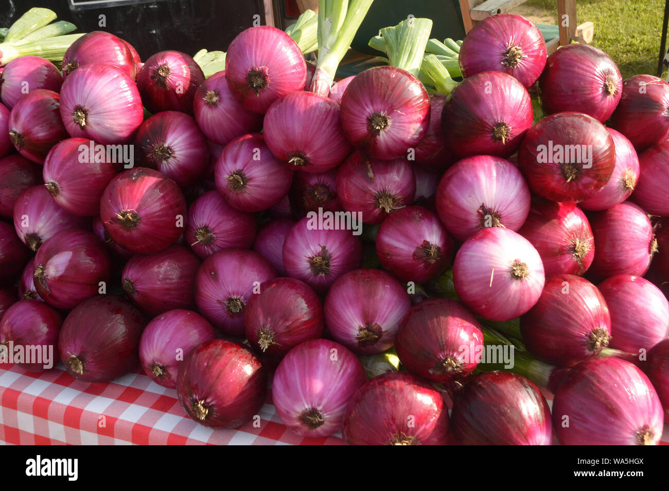 Red onions sit at a stand at the Waitsfield farmers market. Sandy Macys ...