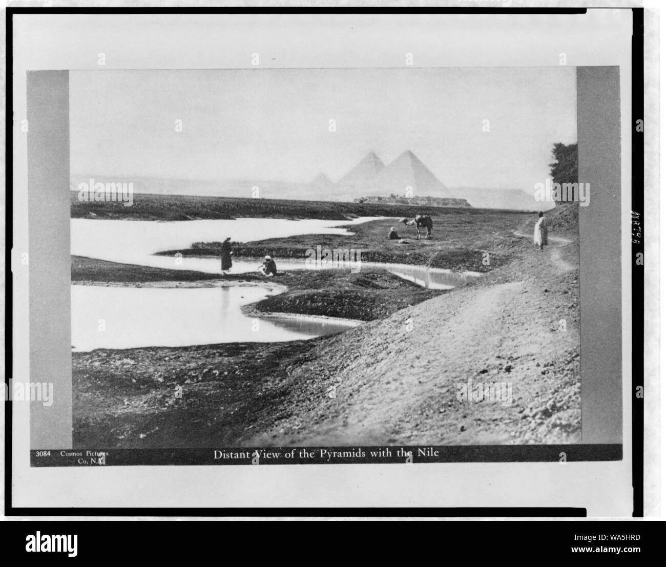 Distant view of the pyramids with Nile Stock Photo - Alamy
